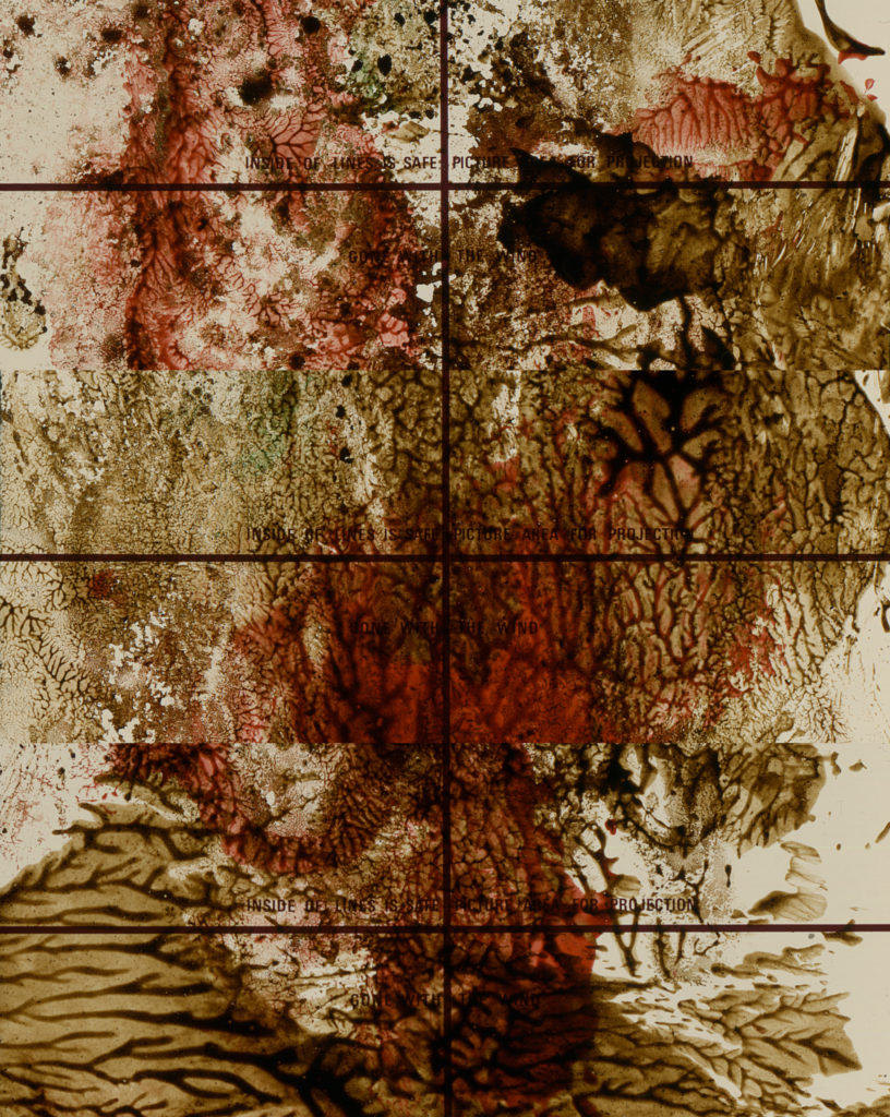 Irish Film Institute -Making Animal Kingdom with Dean Kavanagh